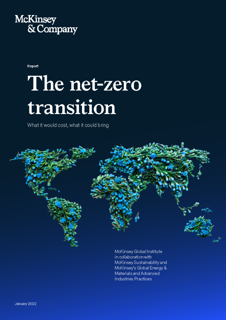 McKinsey & Company (2022) The net-zero transition – What it would cost ...