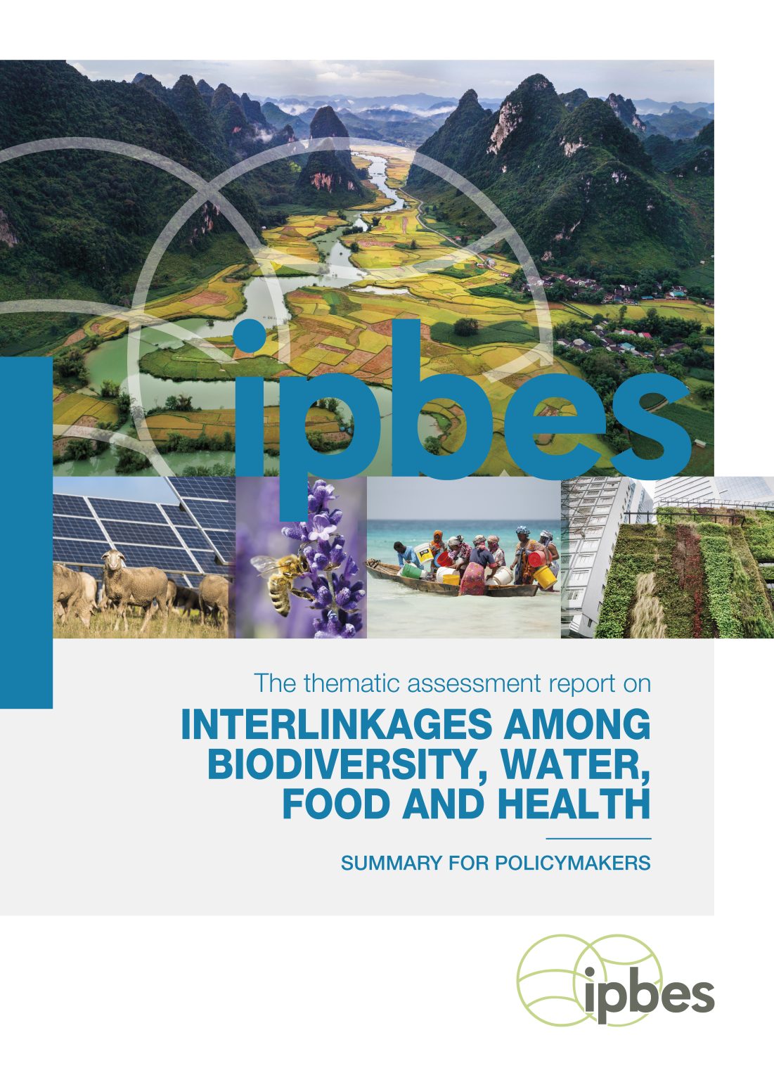 IPBES (2024) Transformative Change Assessment: Summary for Policymakers ...